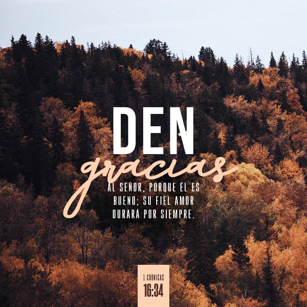 1 Crónicas 16:33-34 Que los árboles del bosque canten de alegría ...