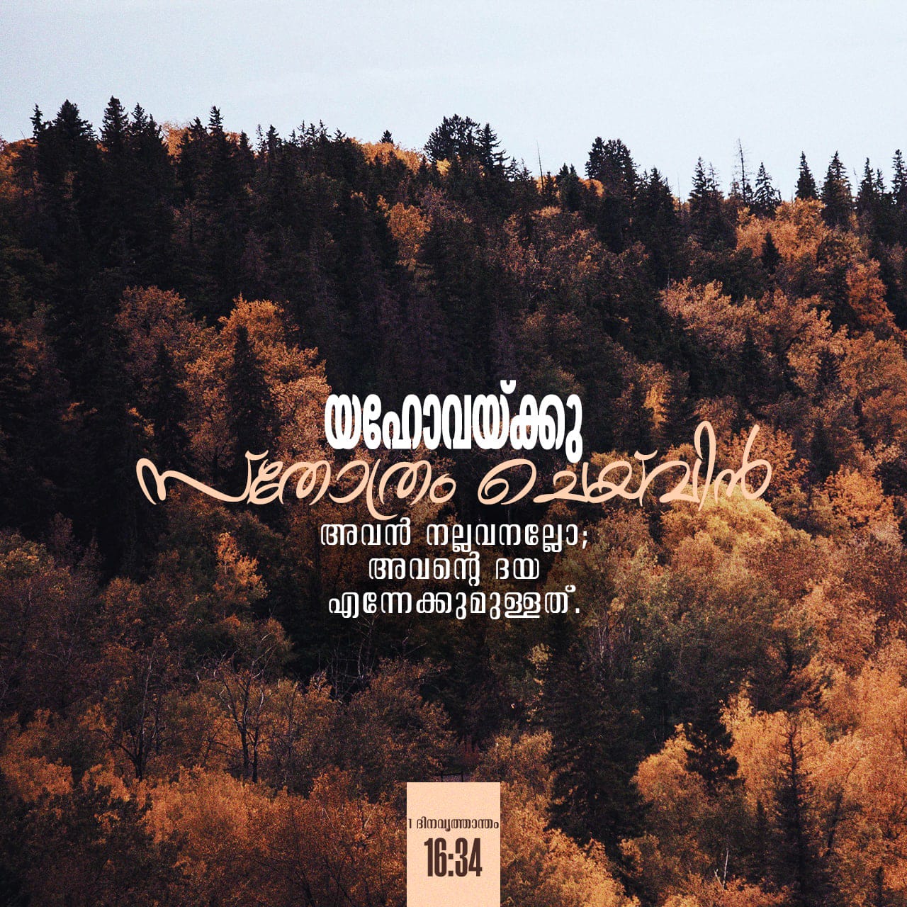 1 ദിനവൃത്താന്തം 16:34 യഹോവയ്ക്കു സ്തോത്രം ചെയ്‍വിൻ; അവൻ നല്ലവനല്ലോ; അവന്റെ ദയ എന്നേക്കുമുള്ളത് ...