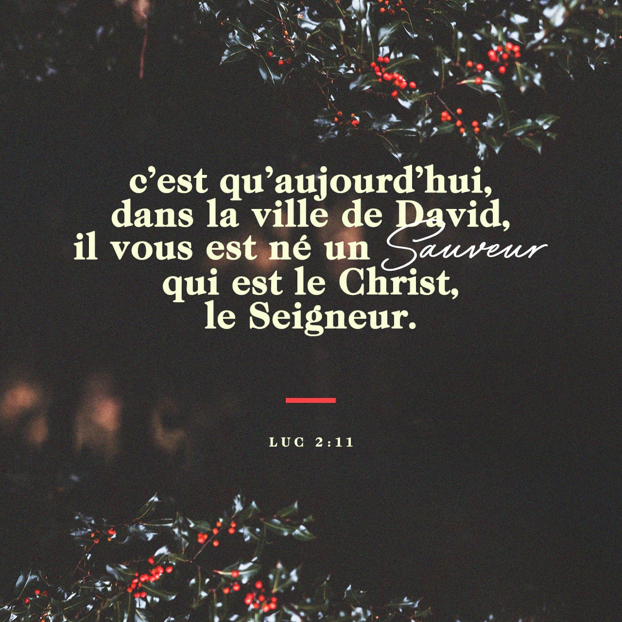 Luc 2:11 c’est qu’aujourd’hui, dans la ville de David, il vous est né ...