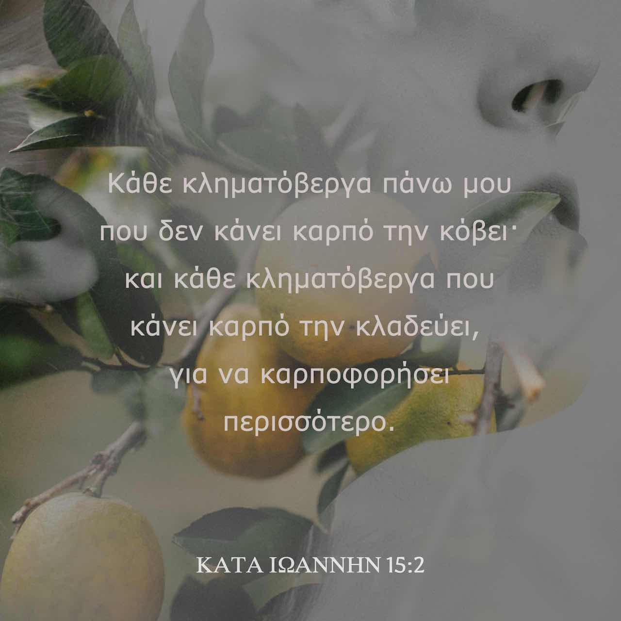 ΚΑΤΑ ΙΩΑΝΝΗΝ 15:1-8 (FPB) - Eγώ είμαι η άμπελος η αληθινή, και | YouVersion