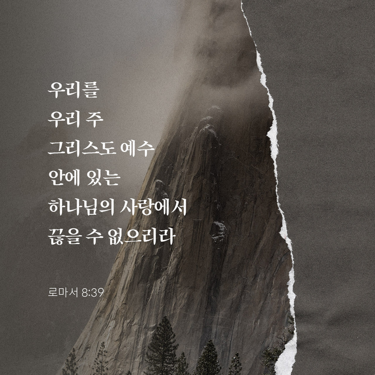 하나님의 사랑에 관한 성경