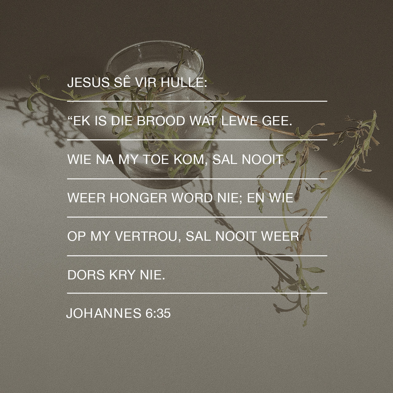 JOHANNES 6:35 En Jesus sê vir hulle: Ek is die brood van die lewe; wie ...