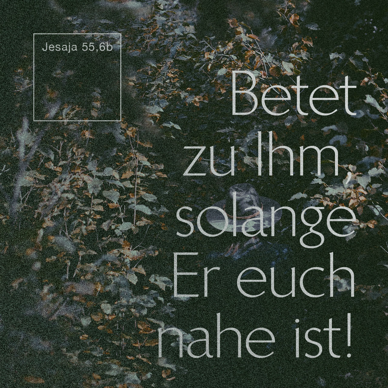 Jesaja 55:6-12 Sucht den HERRN, solange er sich finden lässt! Betet zu ...
