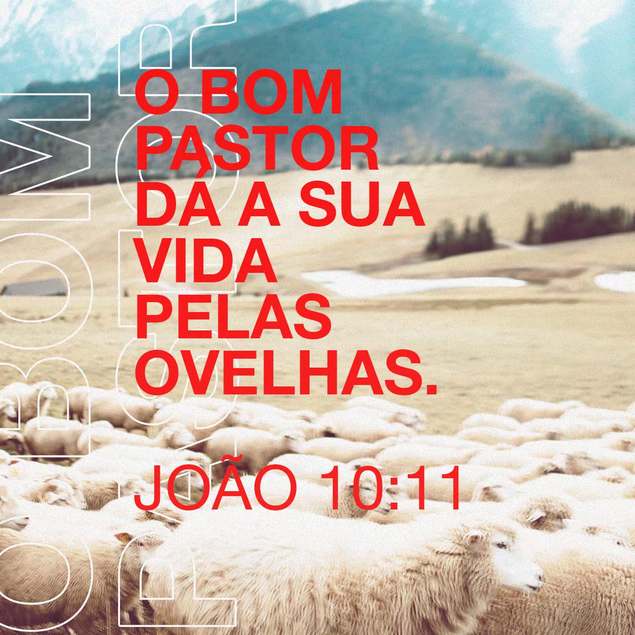 João 10:11 — Eu sou o bom pastor; o bom pastor dá a vida pelas ovelhas ...