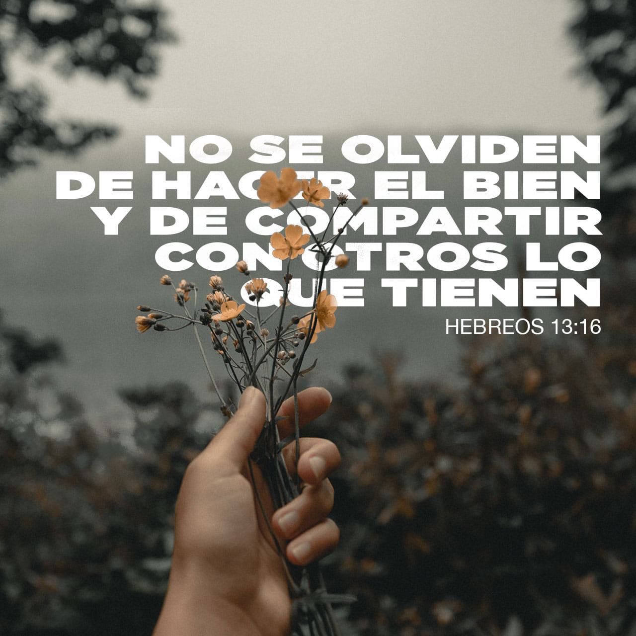 Hebreos 13:16 Y de hacer bien y de la ayuda mutua no os olvidéis ...