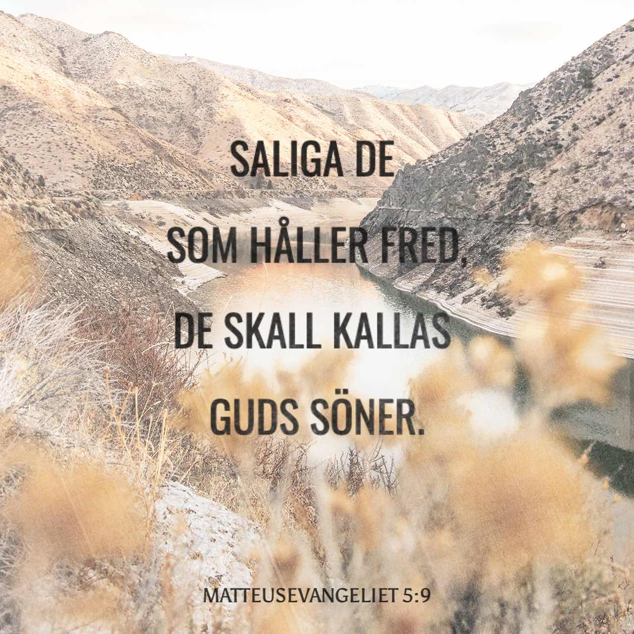 Matteus 5:9 Lyckliga är de som strävar efter frid, för de ska kallas ...