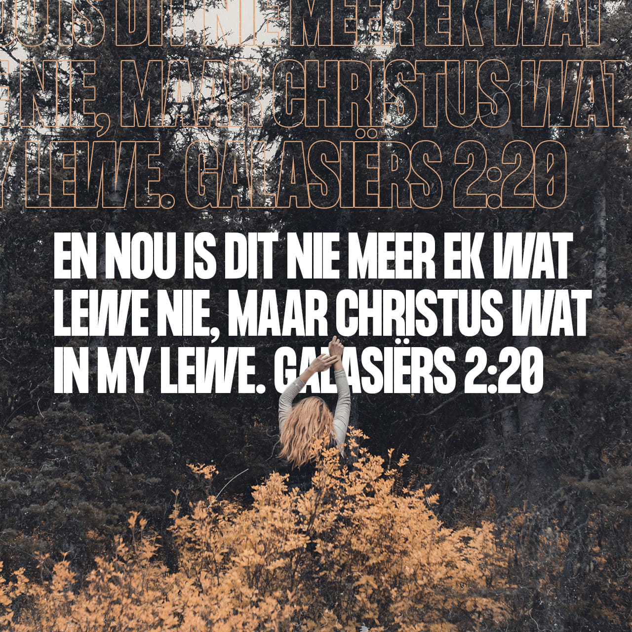 GALASIËRS 2:20 Ek leef nie meer nie, maar Christus lewe in my. Die lewe ...