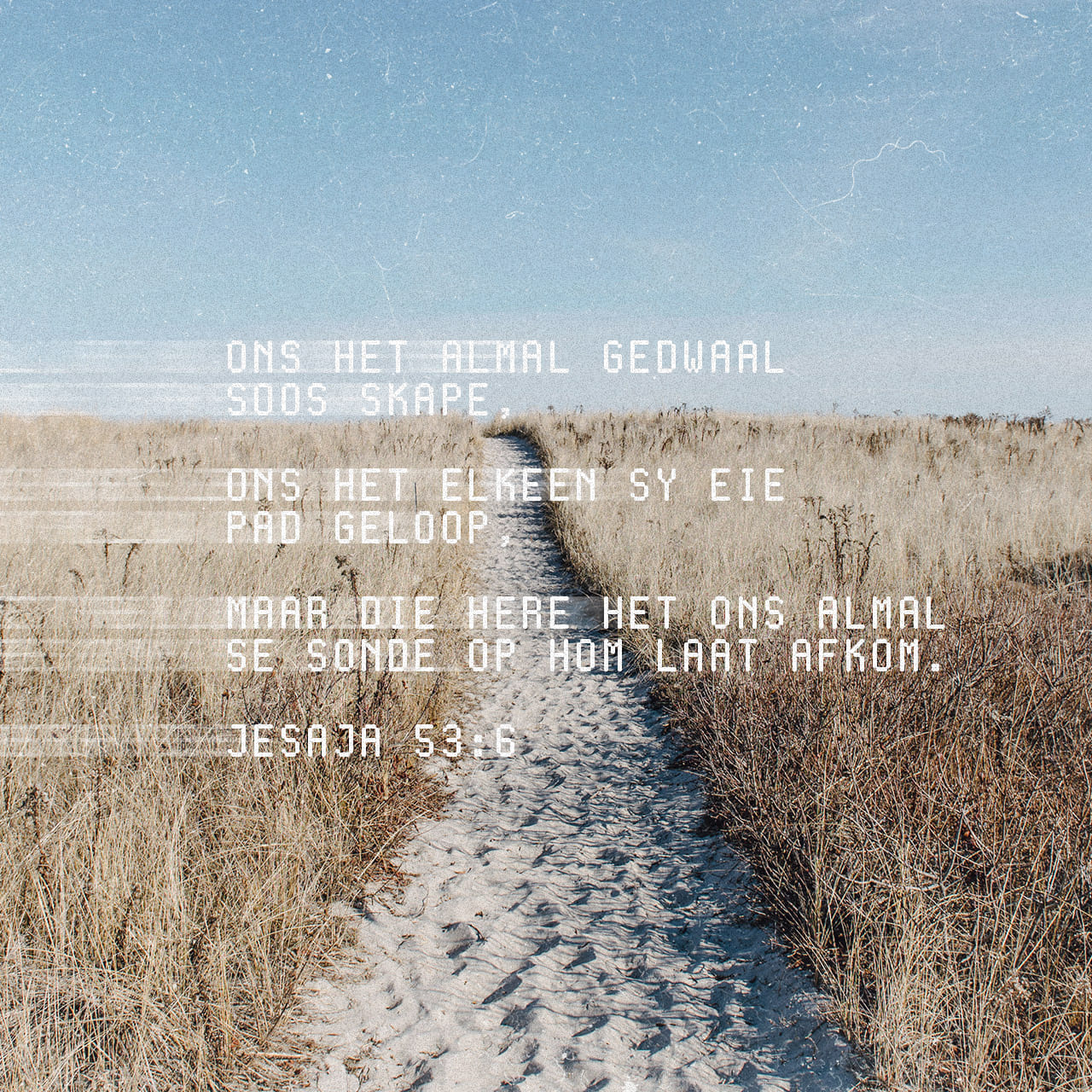 JESAJA 53:6 Ons het almal gedwaal soos skape, ons het elkeen sy eie pad ...