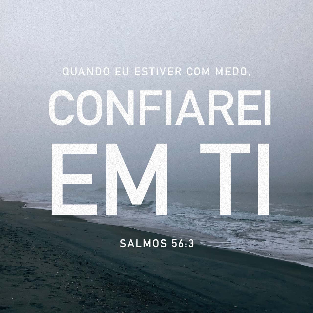 Salmos 56:3 (NVI) - Quando eu estiver com medo, confiar | YouVersion