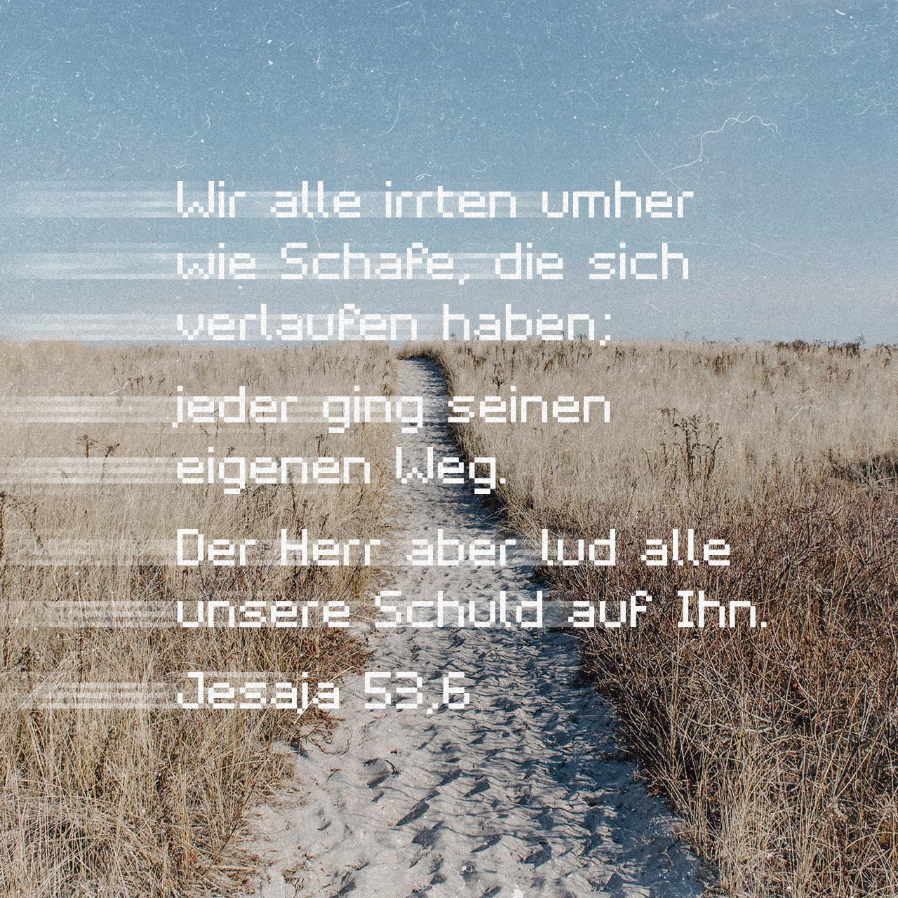 Jesaja 53:6 Wir gingen alle in der Irre wie Schafe, ein jeglicher sah ...