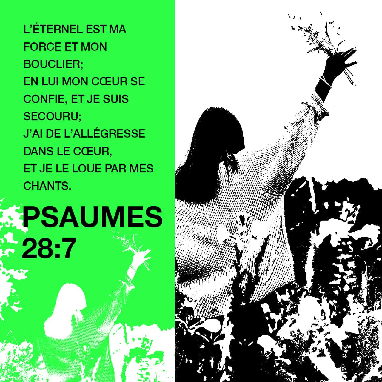 Psaumes 28:7 L’Eternel est ma force, ╵mon bouclier. En lui je me confie ...