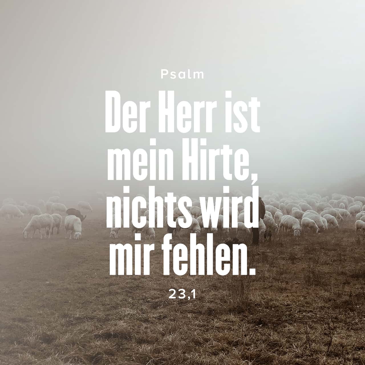 Psalmen 23 1 2 Ein Psalm Davids Der Herr Ist Mein Hirte Mir Wird