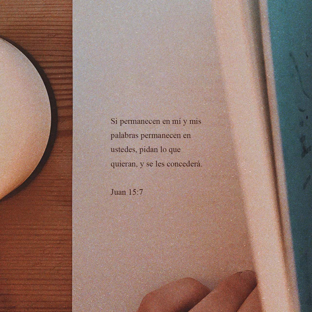 San Juan 15:1-25 »Yo soy la vid verdadera, y mi Padre es el labrador ...