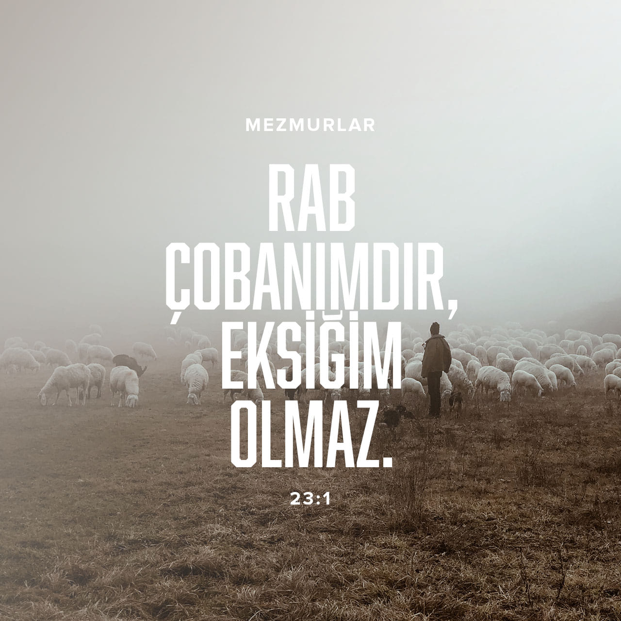 MEZMURLAR 23:1 RAB çobanımdır, Eksiğim olmaz. | Kutsal Kitap Yeni ...