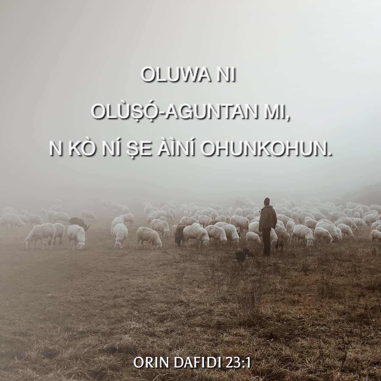 ORIN DAFIDI 23:1 (YCE) - OLUWA ni Olùṣọ́-aguntan mi, n kò ní | YouVersion