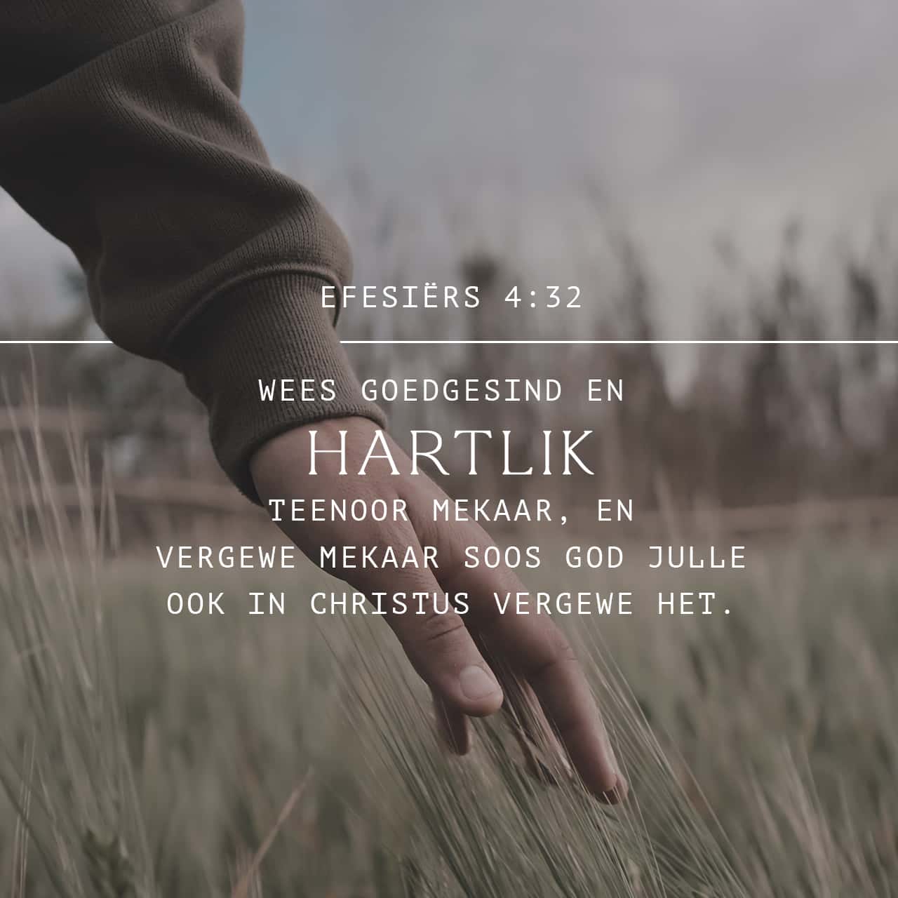 EFESIËRS 4:32 Wees eerder vriendelik met mekaar. Gee vir mekaar om ...