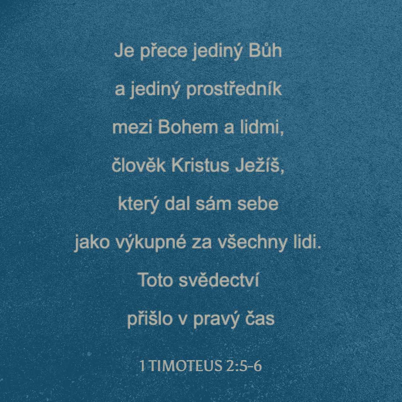 1 Timoteus 2:6 (B21) - který dal sám sebe jako výkupné za | YouVersion