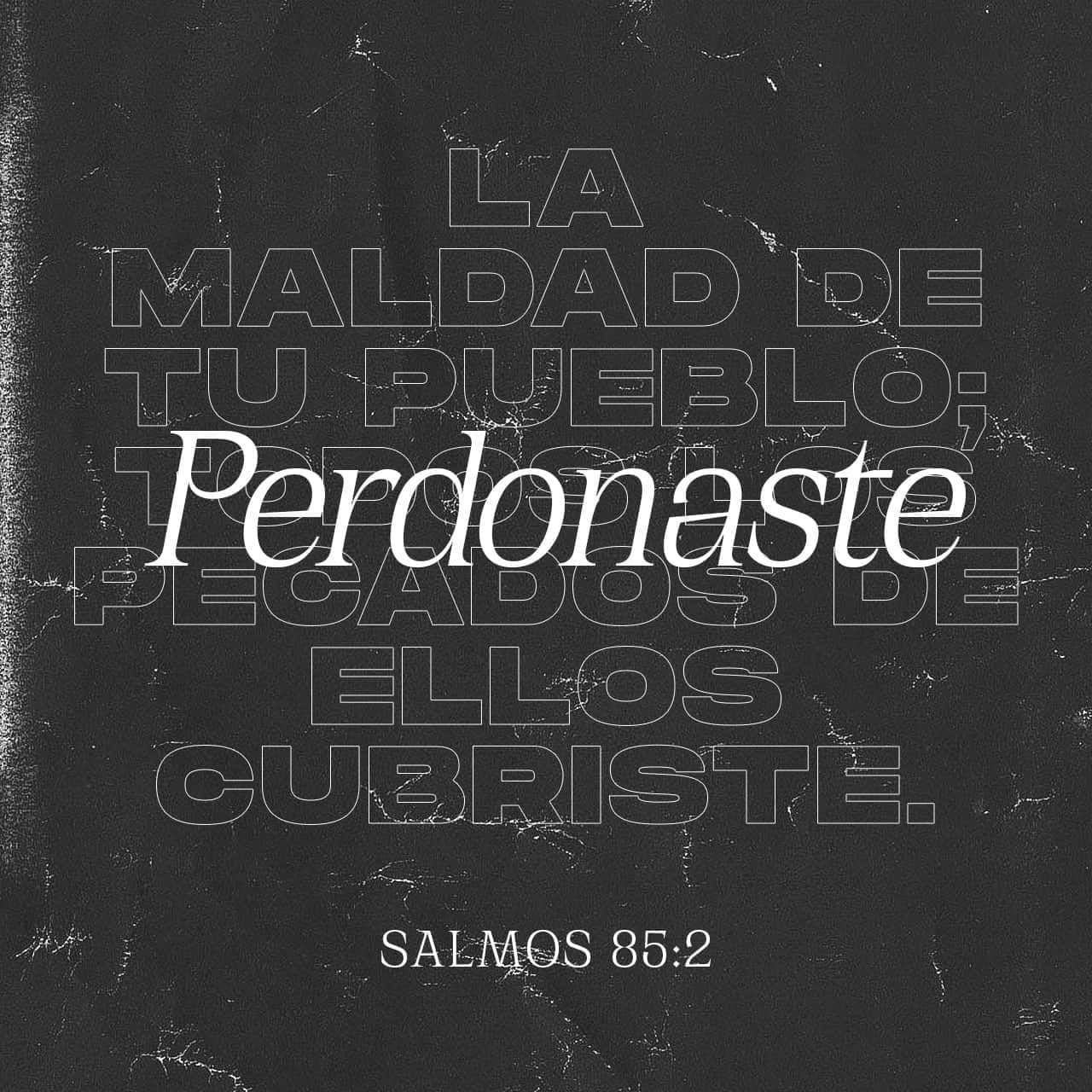 SALMOS 85:2 Perdonaste la iniquidad de tu pueblo; Todos los pecados de ...