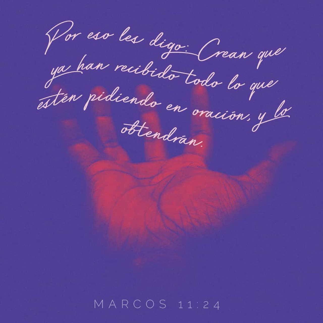 S. Marcos 11:24 Por tanto, os digo que todo lo que pidiereis orando, creed que lo recibiréis, y ...