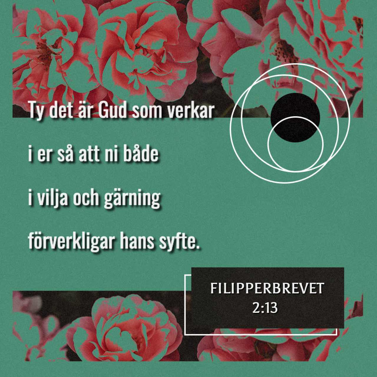 Dagens vers | YouVersion