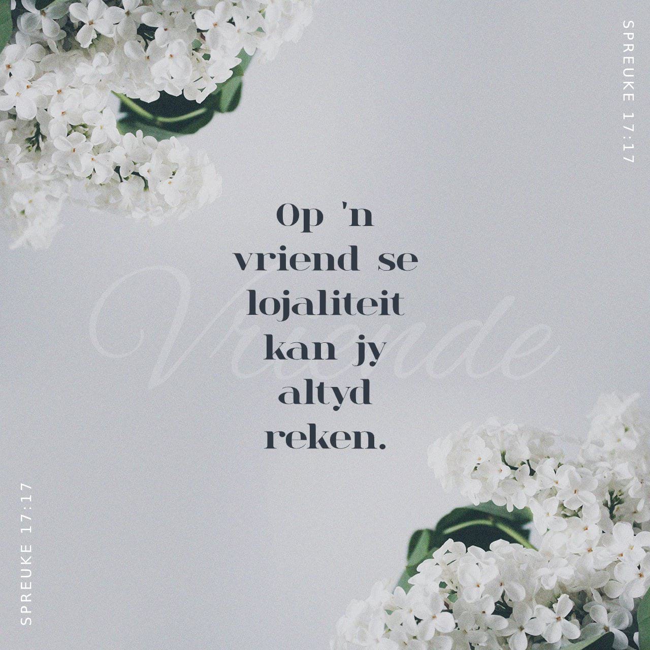 Spreuke 17:17-28 Kies jou vriende versigtig. ’n Ware vriend sal jou ...