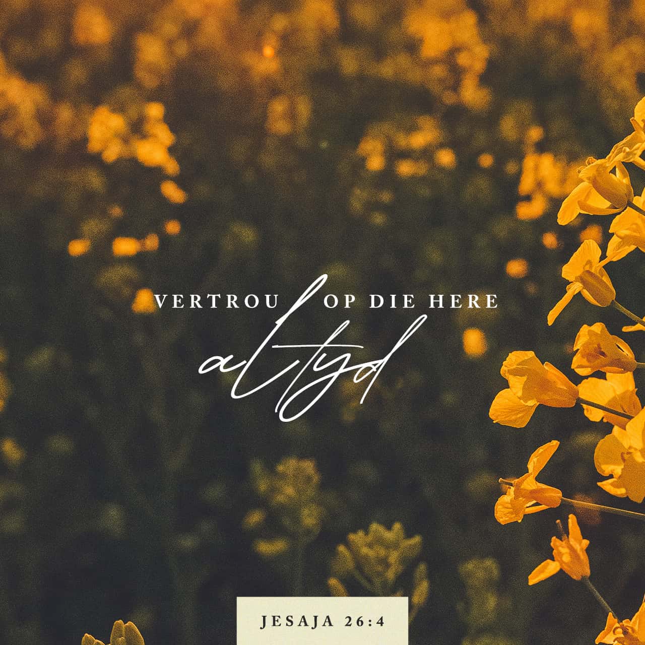 JESAJA 26:4 Vertrou op die HERE vir ewig, want in die Here HERE is 'n ...