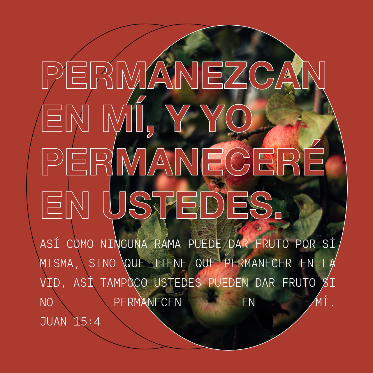 Juan 15:3-8 Ustedes ya están limpios, gracias al mensaje que les he ...