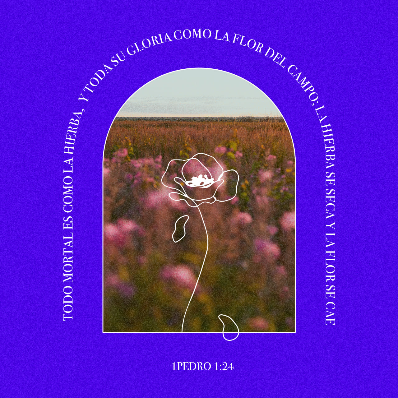 1 PEDRO 1:23-25 (RVR1960) - siendo renacidos, no de simiente co ...