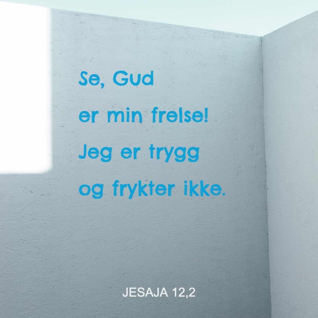 Jesaja 12:2 Se, Gud er min frelse! Jeg er trygg og frykter ikke. For ...