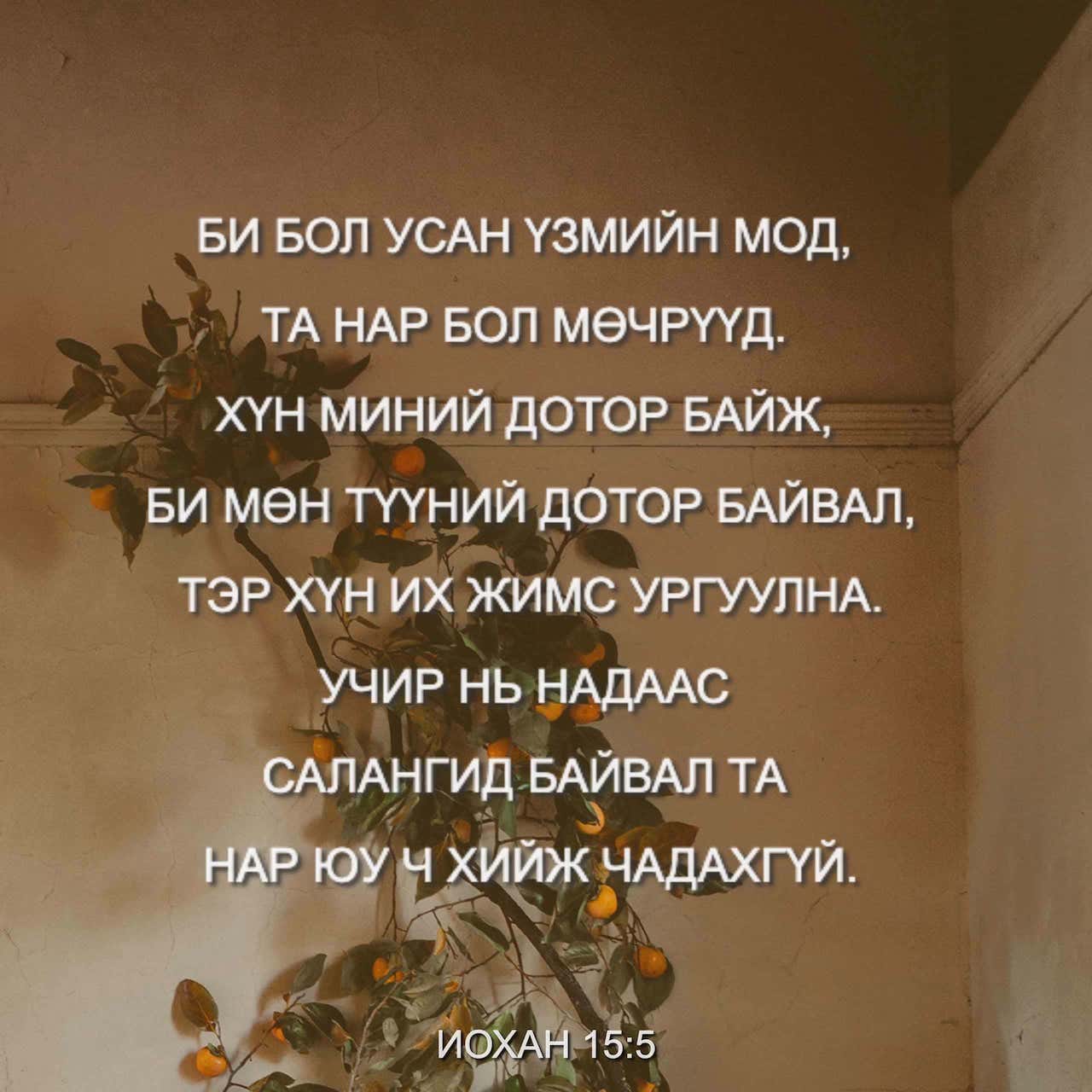 Иохан 15 5 Би бол усан үзмийн мод та нар мөчрүүд Хэн Миний дотор байж