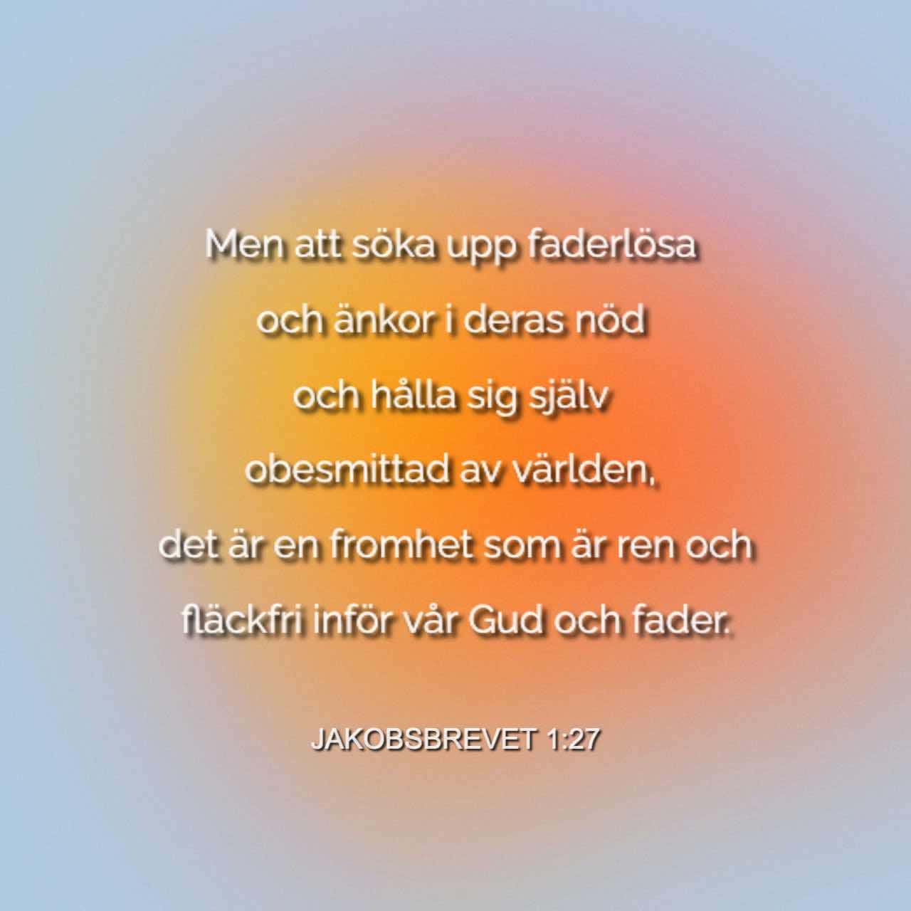 Jakobsbrevet 1:27 En fromhet (gudsfruktan, tillbedjan, gudstjänst) [som ...