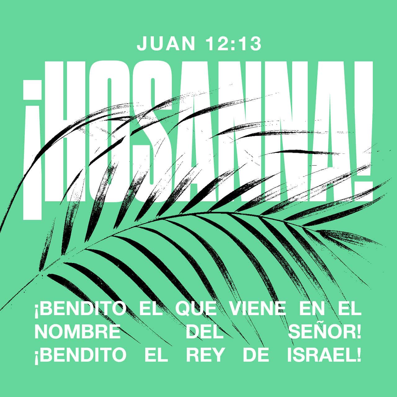 Juan 12:13 tomaron hojas de las palmas y salieron a recibirle, y ...