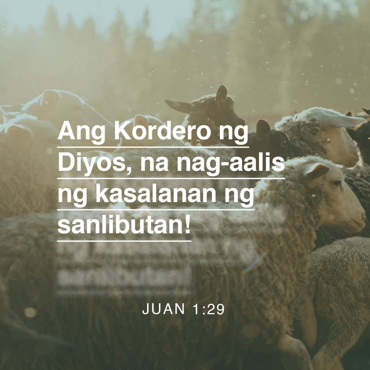 Juan 1:28-34 Ang mga ito'y nangyari sa Bethania, sa silangan ng Ilog ...