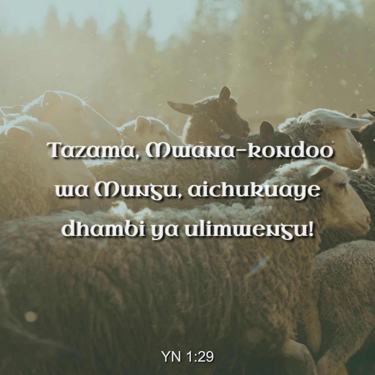 Yohana 1:29 Siku iliyofuata, Yohana alimwona Yesu akimjia akasema ...