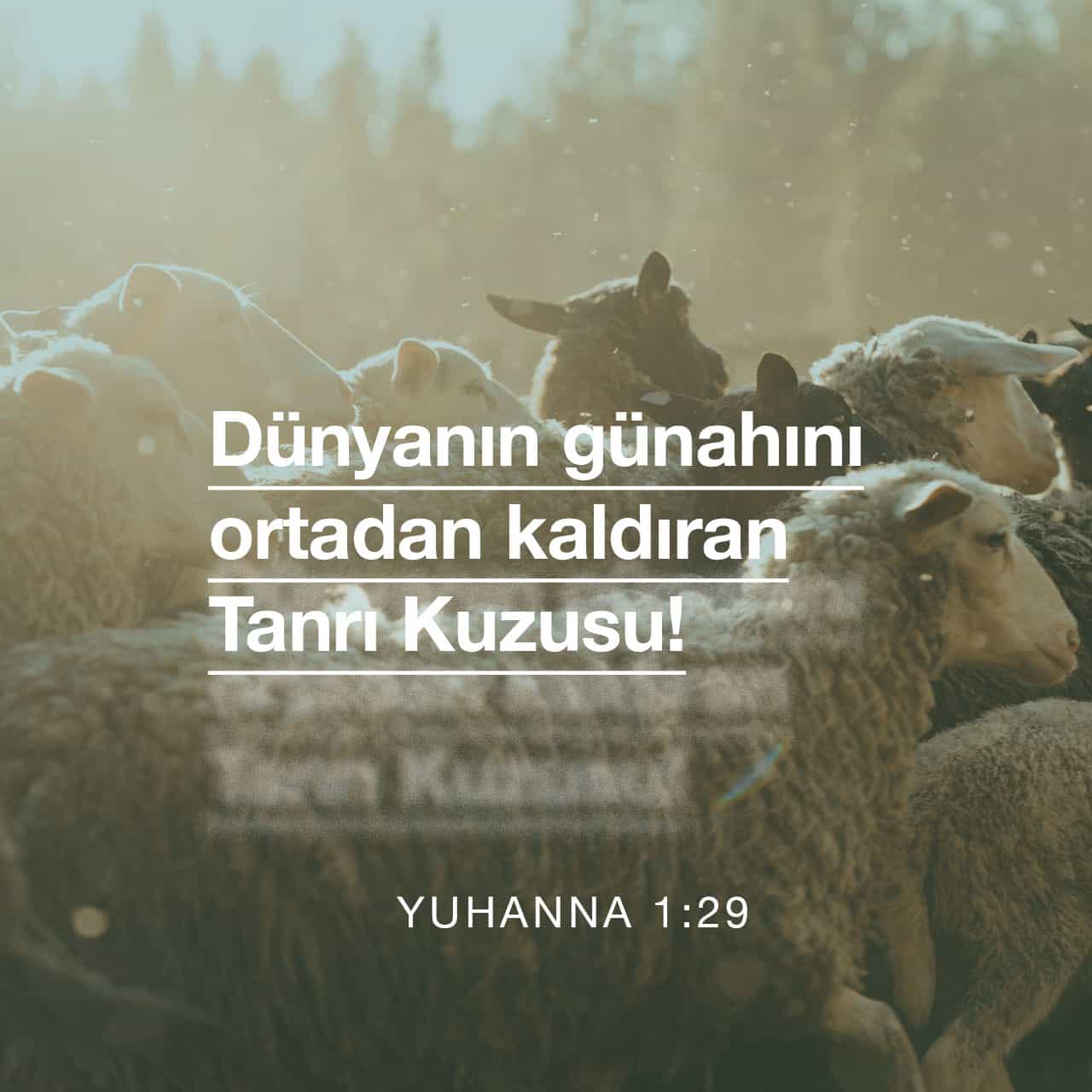 YUHANNA 1:29-36 (TCL02) - Yahya ertesi gün İsa'nın kendisine | YouVersion