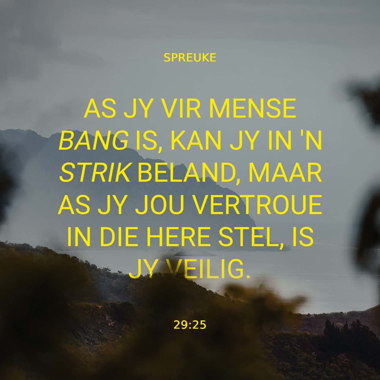 SPREUKE 29:25 (AFR53) - Die vrees vir die mens span 'n stri | YouVersion