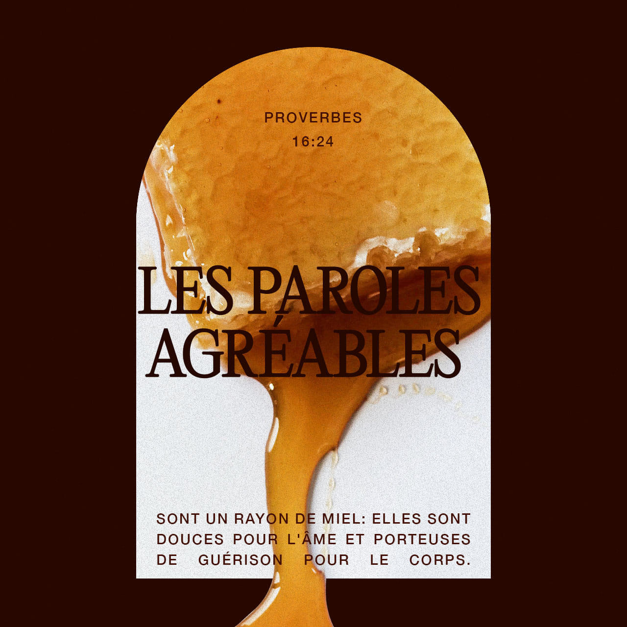 Proverbes 16:23-28 Si le cœur d’un homme est pénétré de sagesse, il ...
