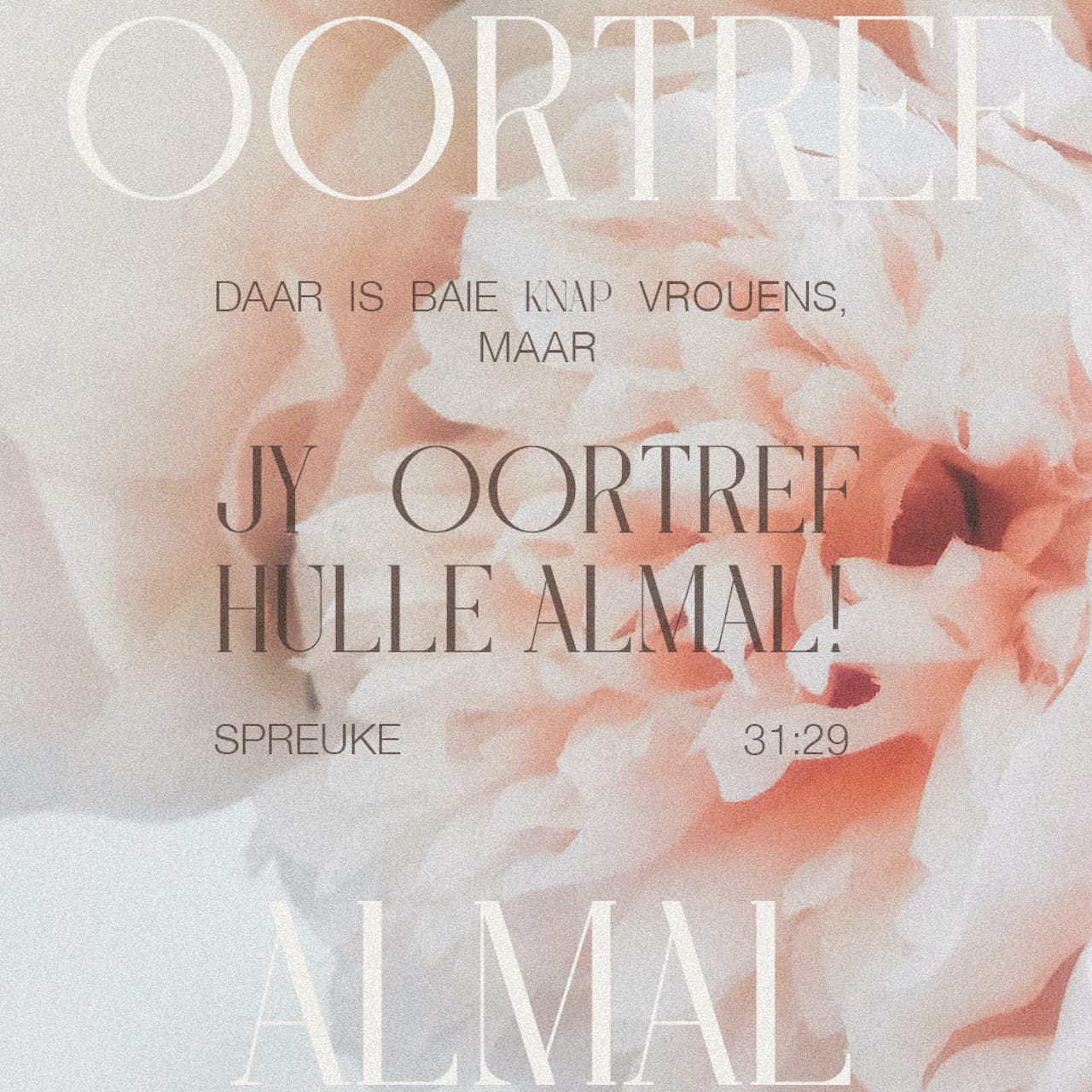 SPREUKE 31:29, 31 (AFR53) - Resj. Baie dogters het hulle knap g ...