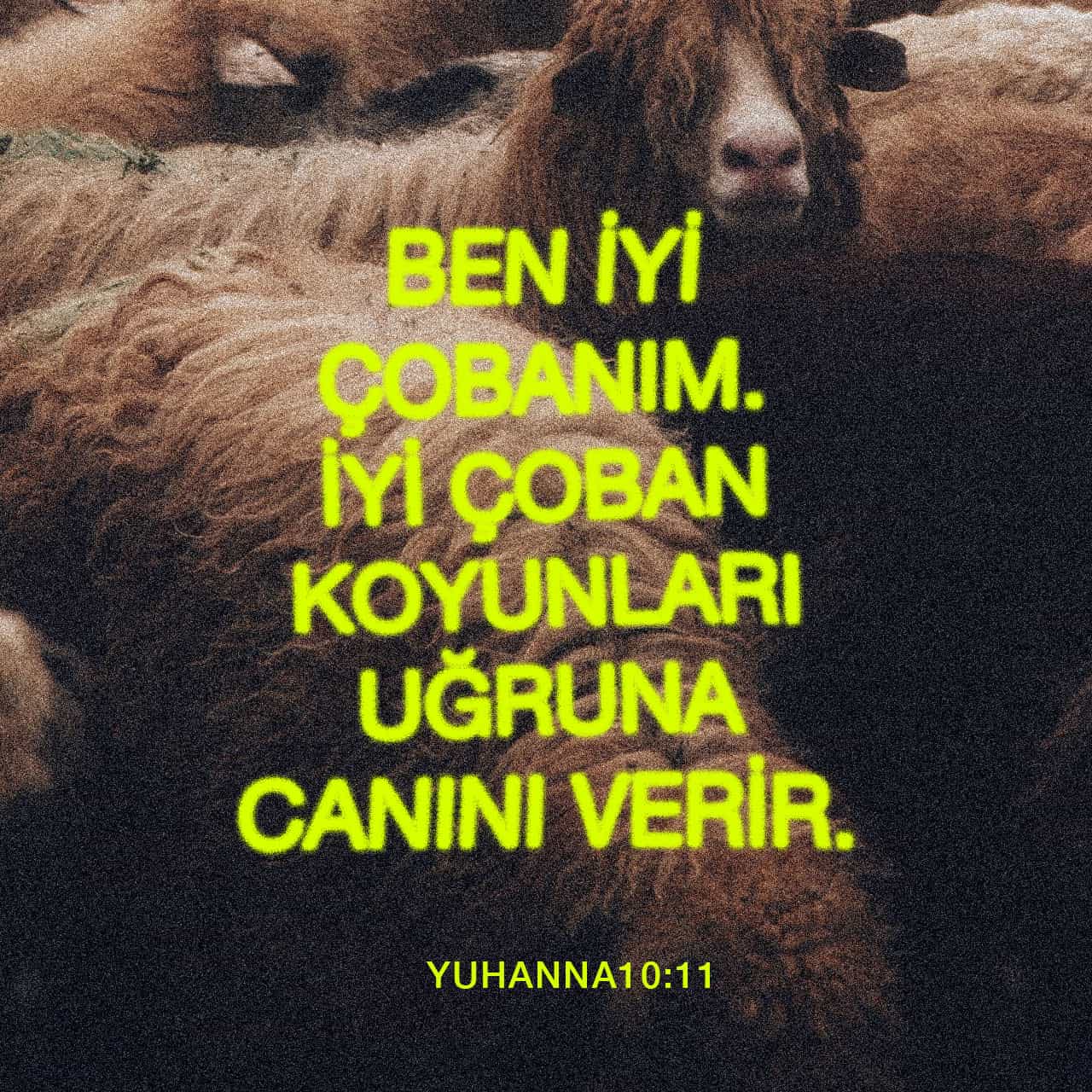 YUHANNA 10:11 Ben iyi çobanım. İyi çoban koyunları uğruna canını verir ...