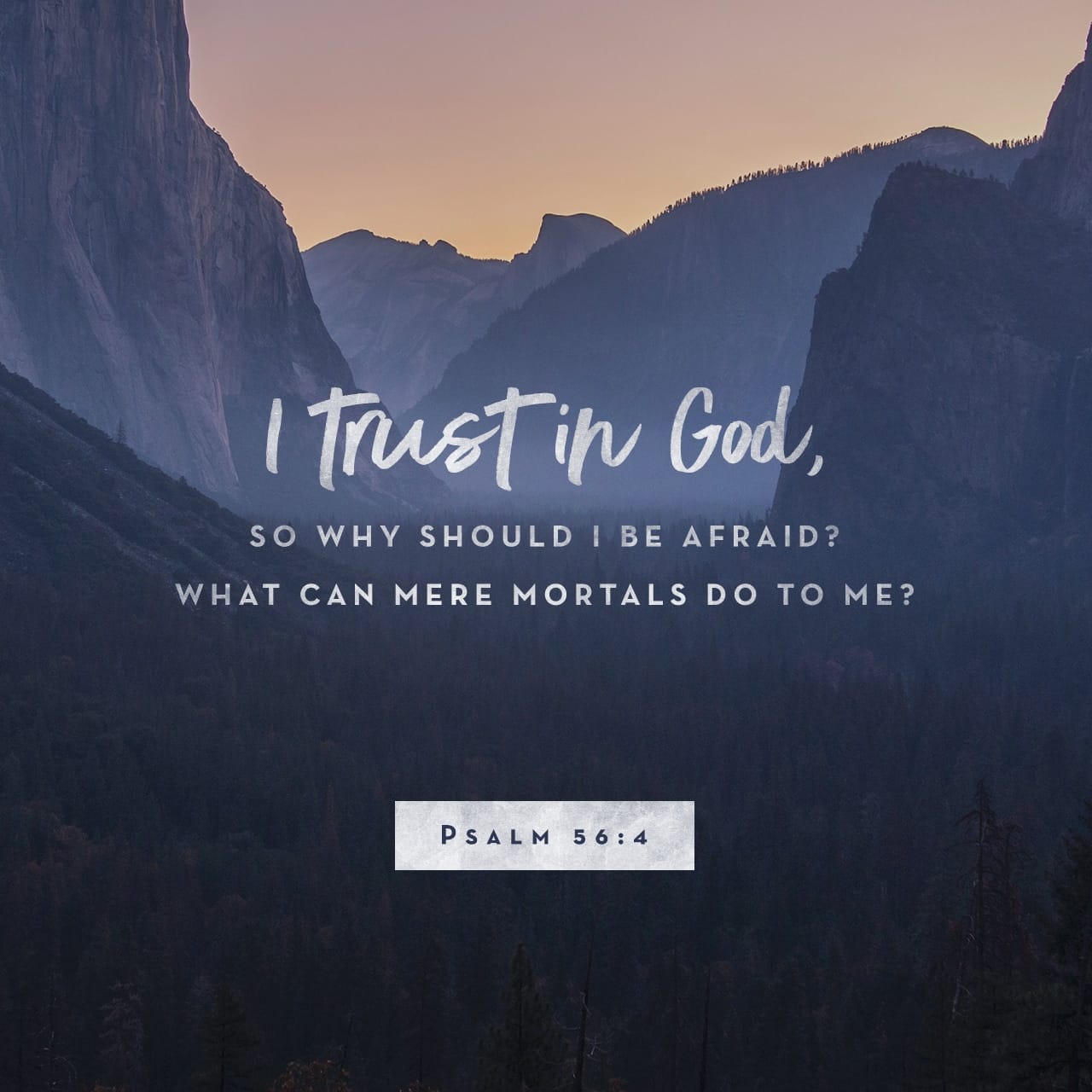 Psalms 56 4 In God Whose Word I Praise In God I Trust And Am Not Psalms 56 4 In God Whose Word I Praise In God I Trust And Am Not