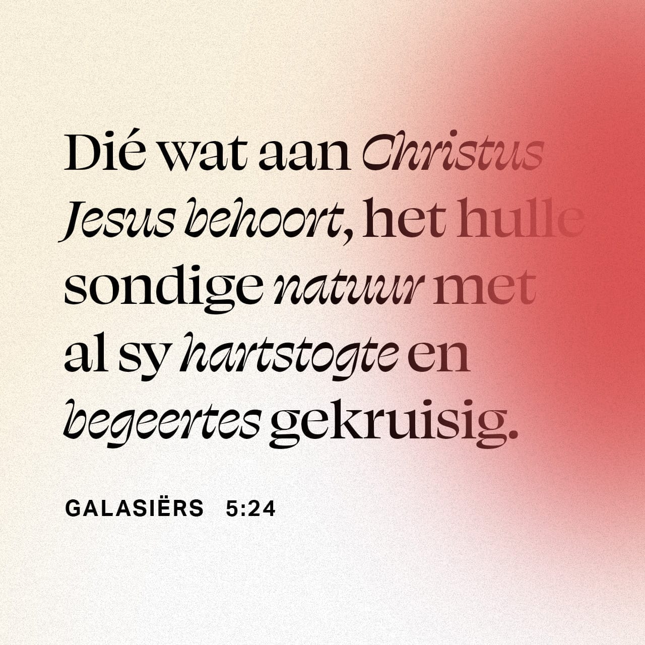 Galasiërs 5:24 (AFR20) - Almal wat aan •Christus Jesus behoo | YouVersion