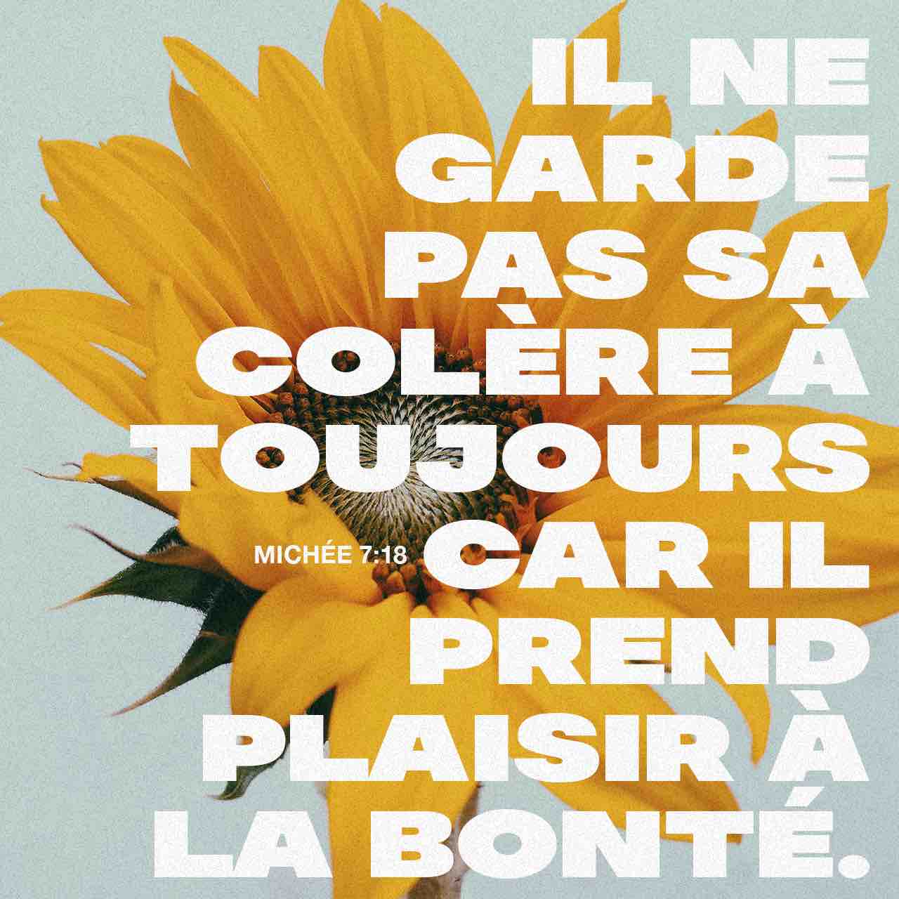 Michée 7:18-20 Quel Dieu est semblable à vous, qui ôtez l'iniquité, et ...