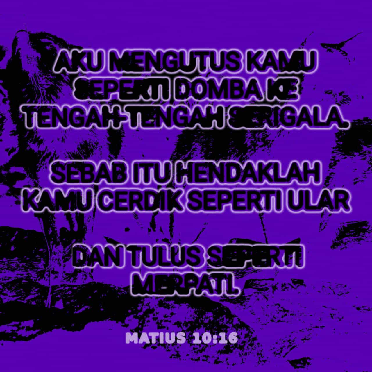 Matius 10:16 ”Lihat, Aku mengutus kamu seperti domba ke tengah-tengah ...