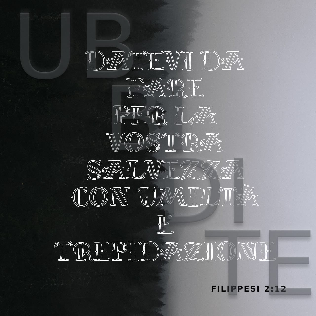 Filippesi 2:12 Miei cari, quand'ero tra voi, mi avete sempre ubbidito ...