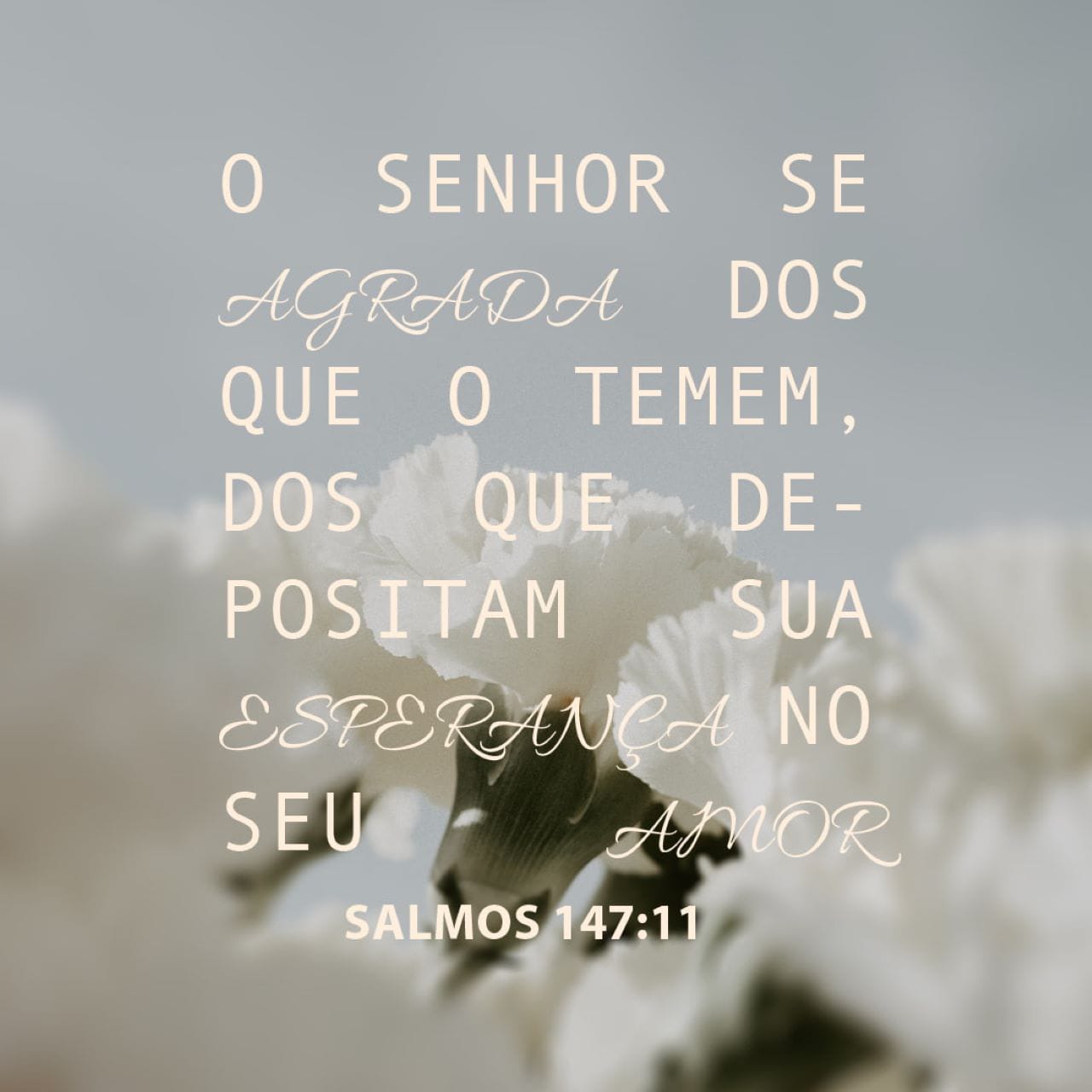 Salmos 147:10-14 O que agrada a Deus não são cavalos fortes nem ...