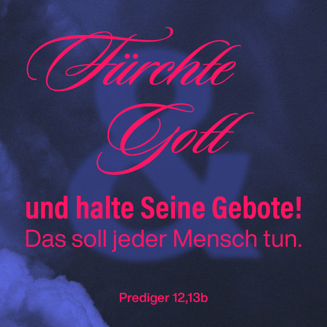 Prediger Bibel