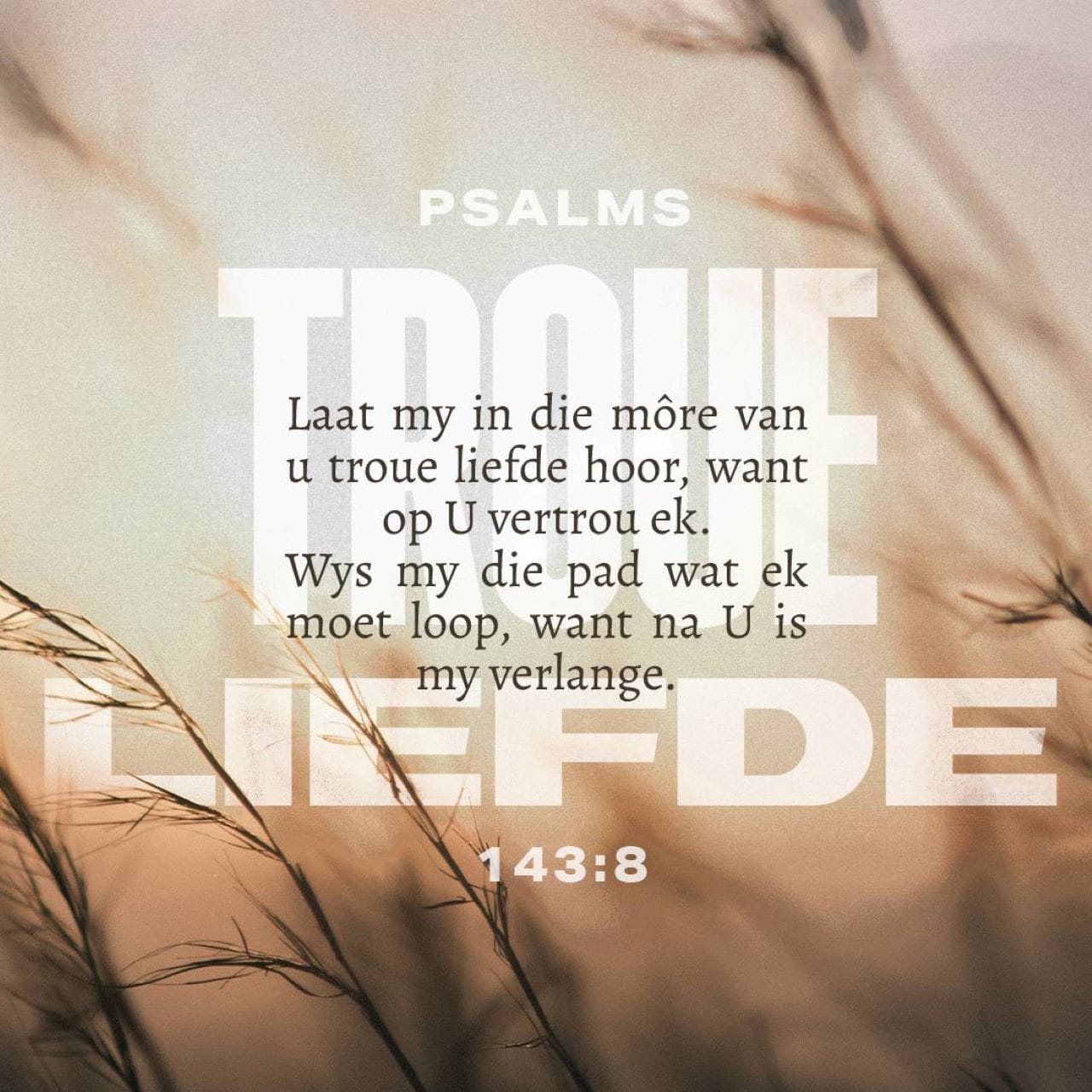 PSALMS 143:8 Laat my elke môre u liefde ondervind, want in U stel ek my ...