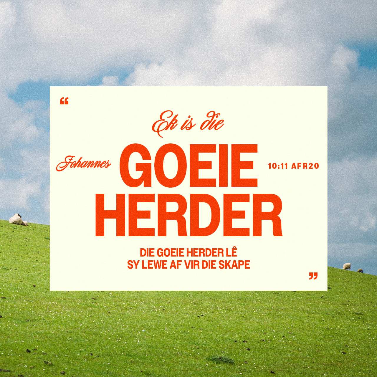 Johannes 10:10-11 (ABA) - 'n Dief kom net om die skape te ste | YouVersion