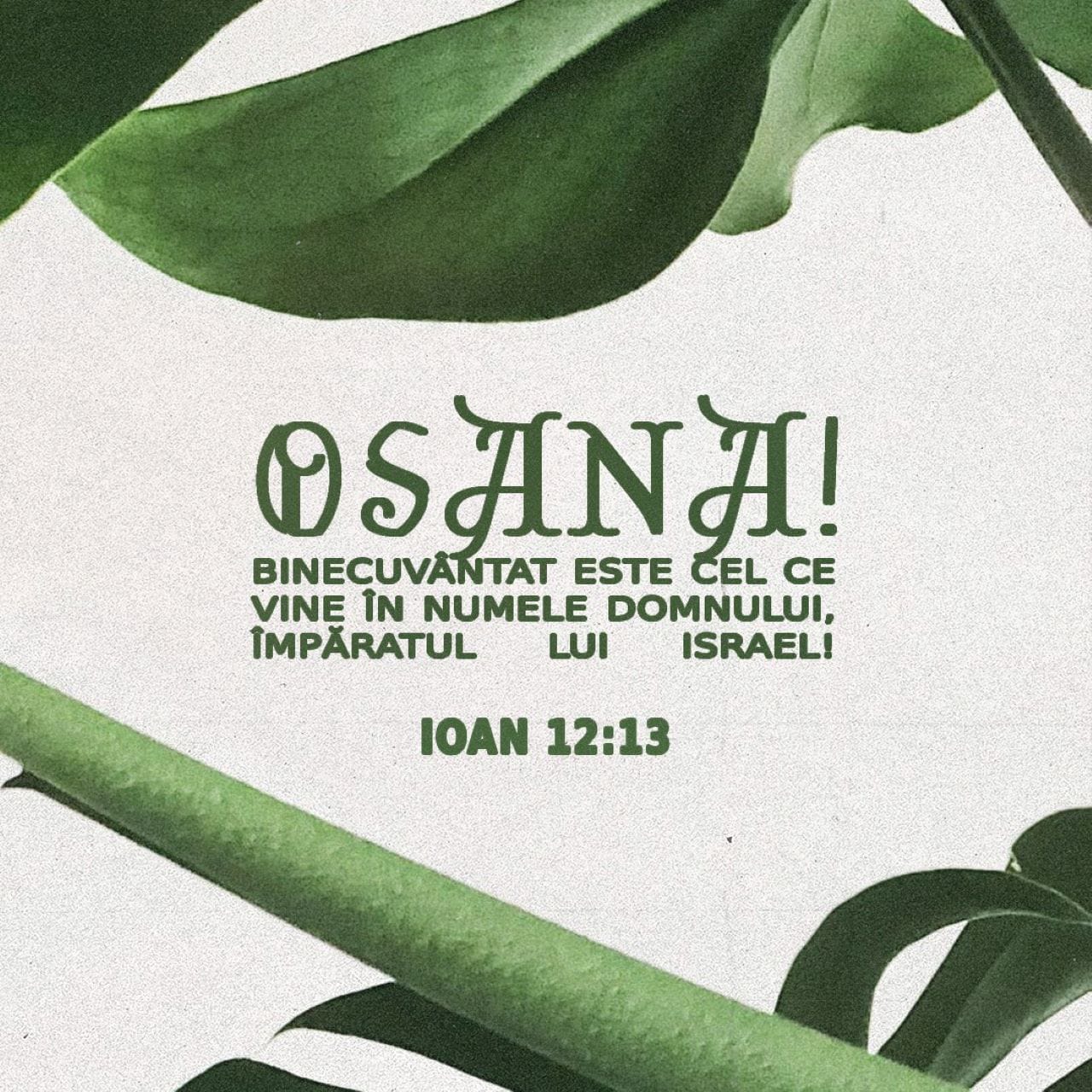 Ioan 12:13 au luat ramuri de palmier, au ieşit în întâmpinarea Lui şi ...