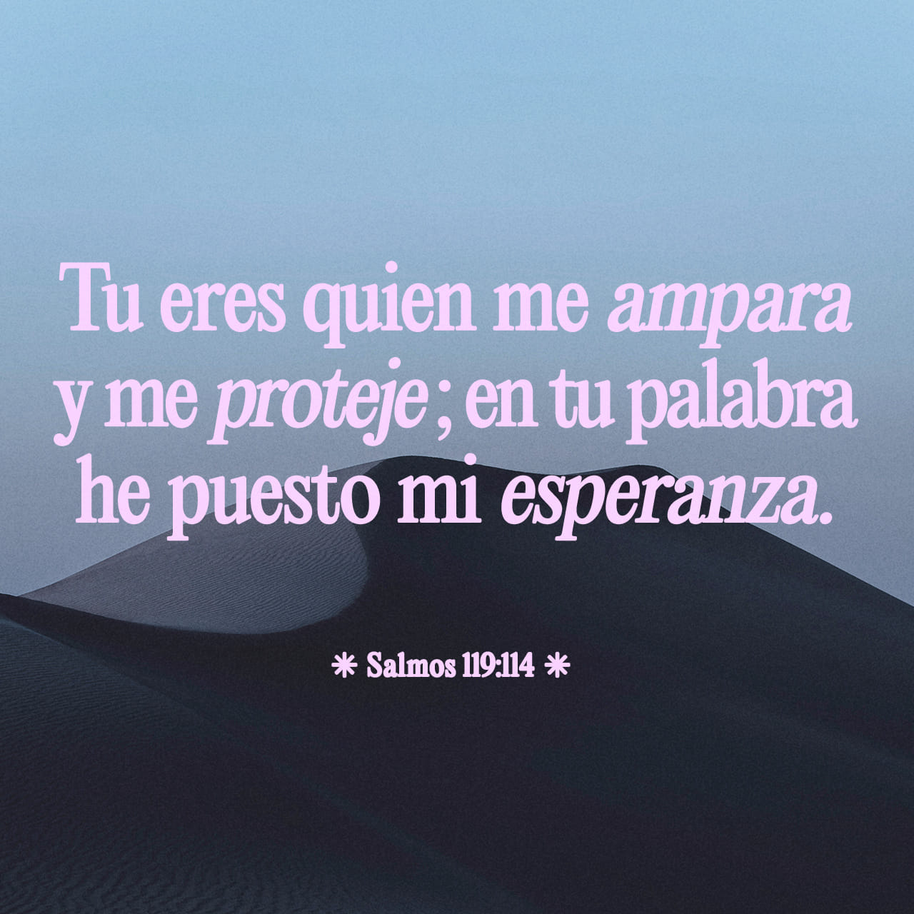 Salmos 119:114-118 Mi escondedero y mi escudo eres tú; En tu palabra he esperado. Apartaos de mí ...